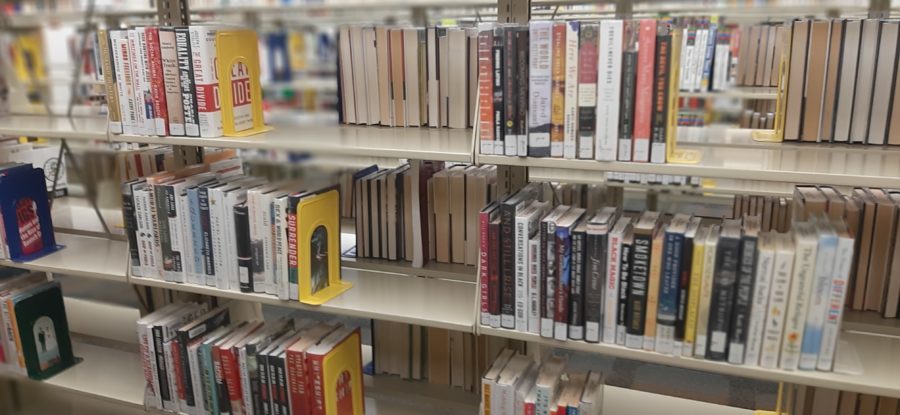 Escondido Library Watchdog